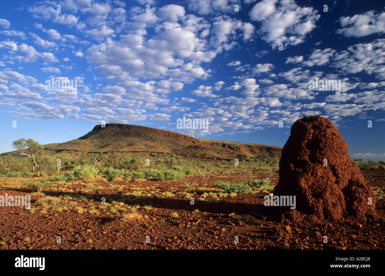 Landscape at Karijini National Park, Hamersley Range, Pilbara Stock ...