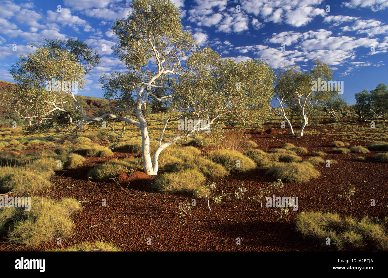 Karijini National Park, Hamersley Range, Pilbara Stock Photo - Alamy