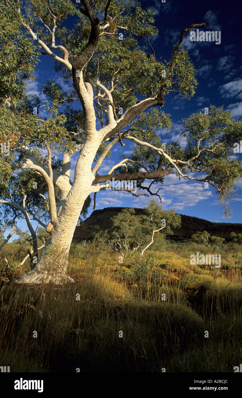 Karijini National Park, Hamersley Range, Pilbara Stock Photo - Alamy
