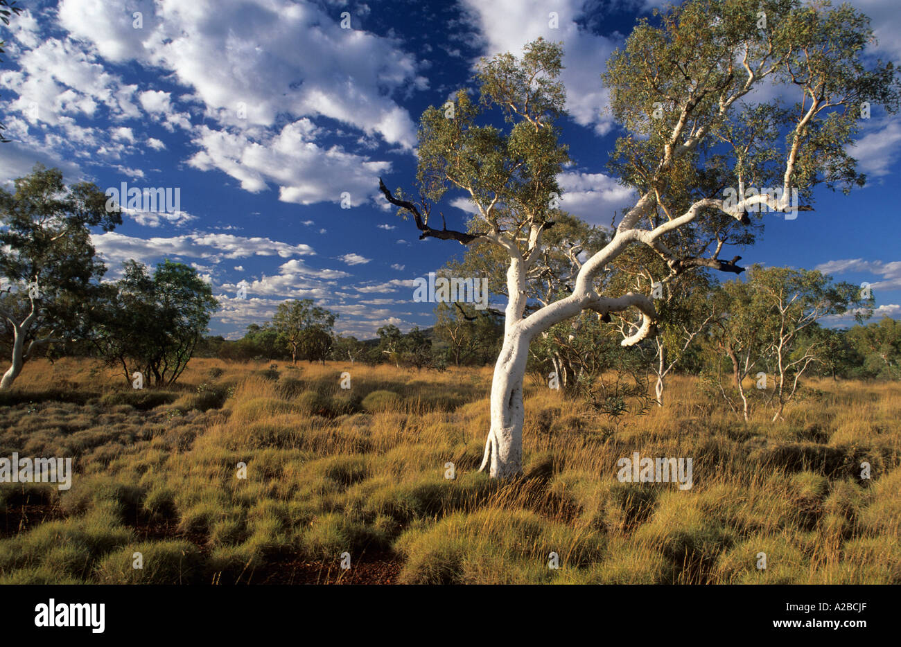Karijini National Park, Hamersley Range, Pilbara Stock Photo - Alamy
