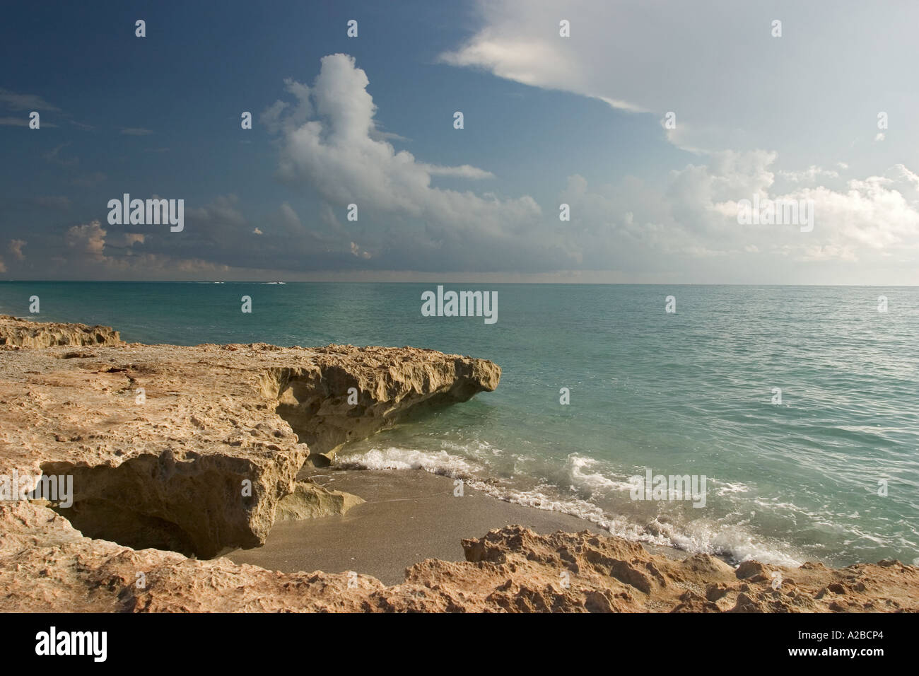 Anastasia limestone rock outcroppings along the Florida coastline Stock ...