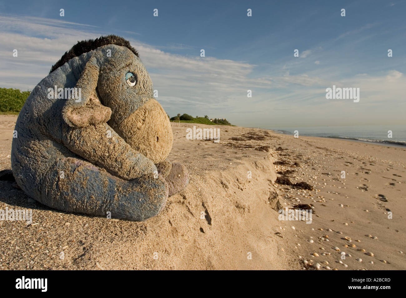 Depressed donkey hi-res stock photography and images - Alamy