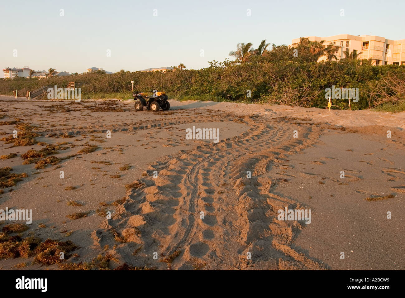 Crawl Tracks High Resolution Stock Photography and Images - Alamy