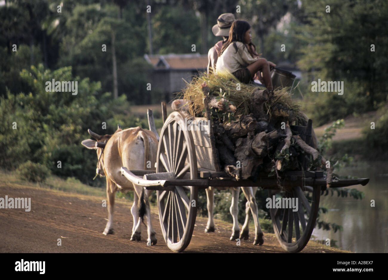 Farmer bullock cart hi-res stock photography and images - Alamy