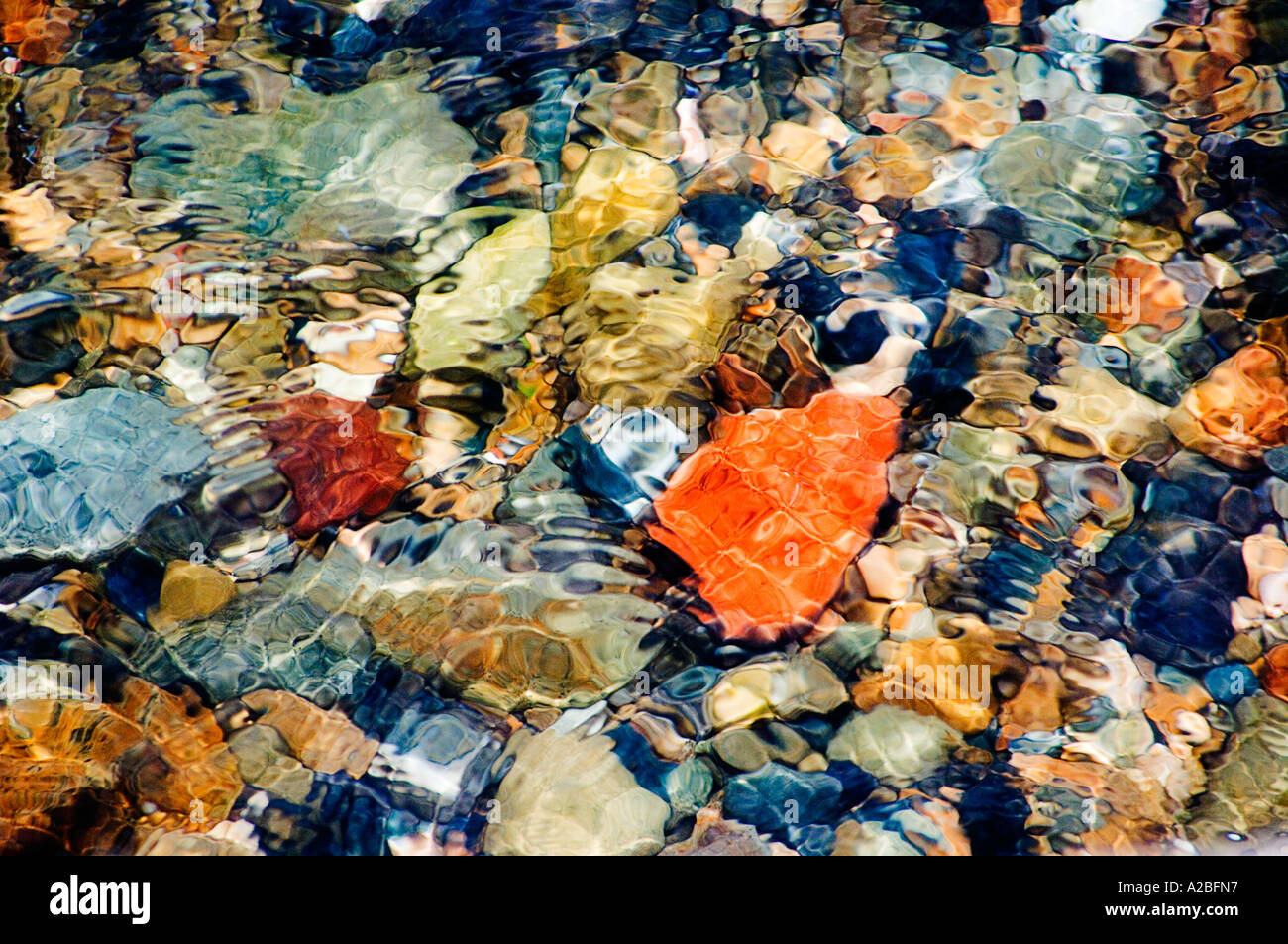 Colorized sketch hi-res stock photography and images - Alamy