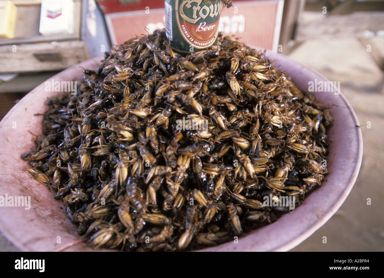 Plate of fried crickets. A delicacy in Cambodia Stock Photo - Alamy