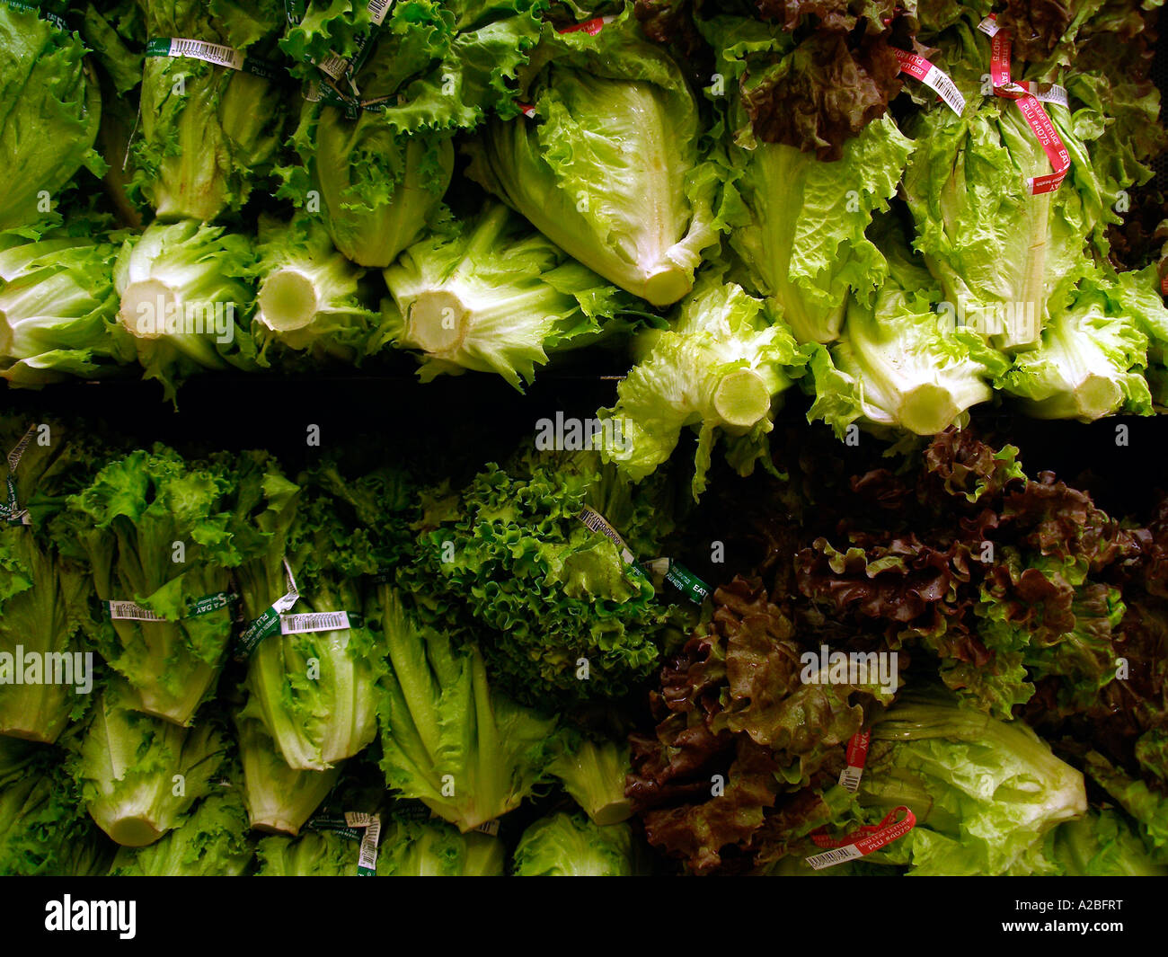 Lettuce on display in a supermarket in NYC Stock Photo - Alamy