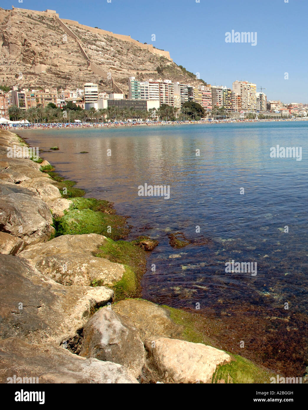 Seafront Alicante Alacant Valencia Comunitat Comunidad Valenciana Costa ...