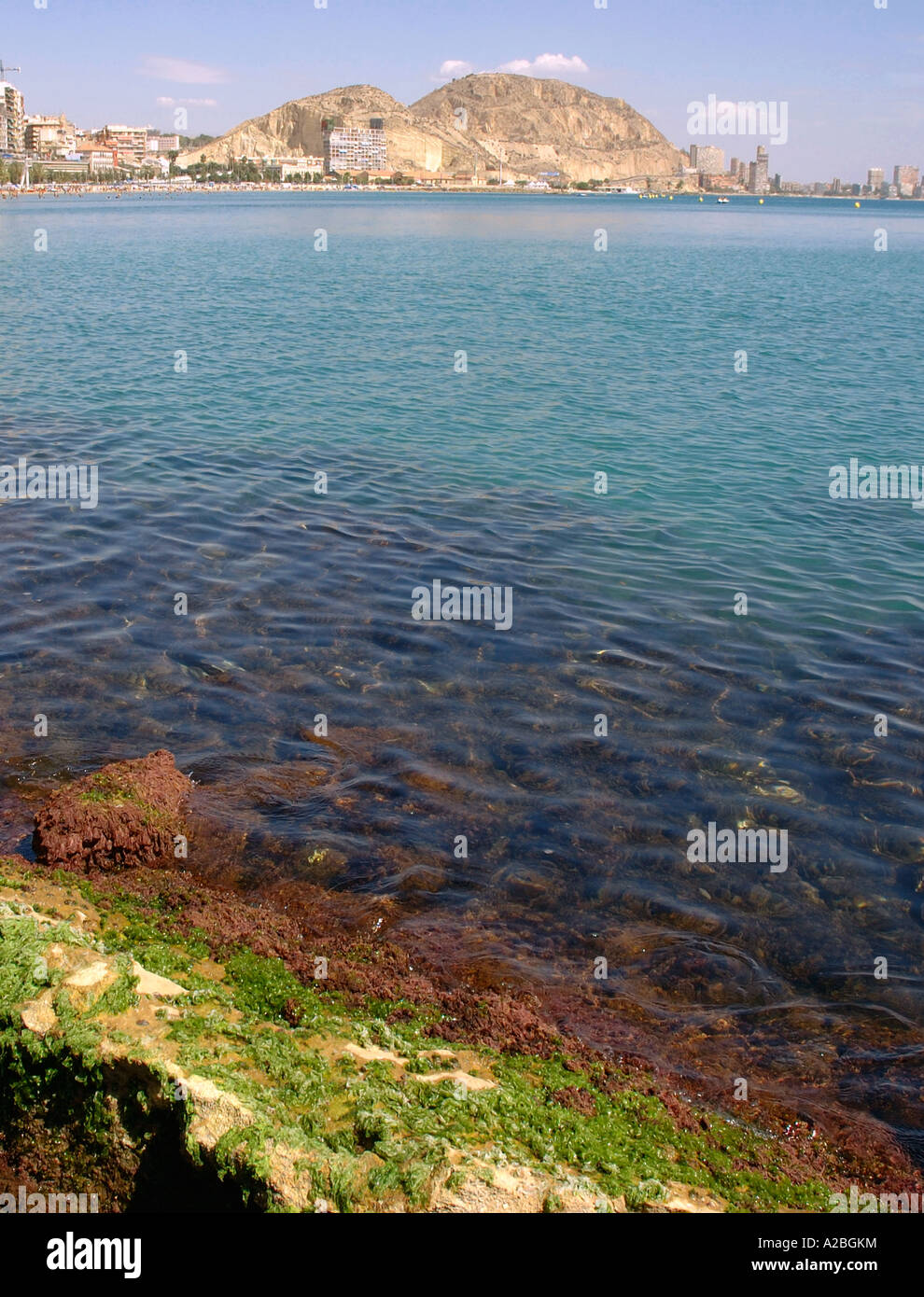 Seafront Alicante Alacant Valencia Comunitat Comunidad Valenciana Costa ...
