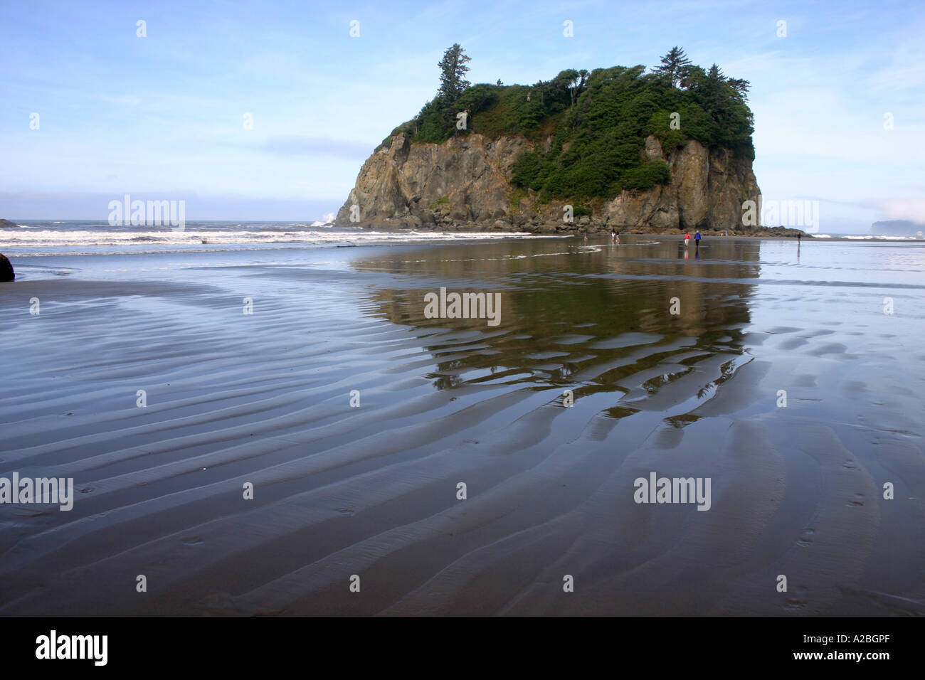 A giant sea-stack juts from the sand of Ruby Beach on Washingtons ...