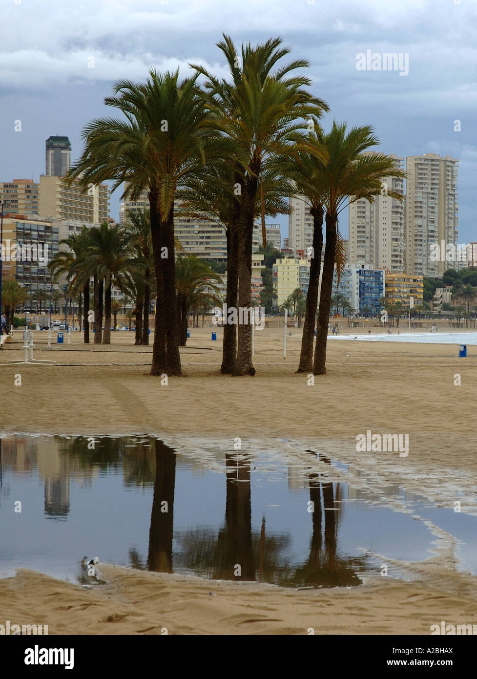 Seafront Benidorm Alicante Alacant Valencia Comunitat Comunidad ...