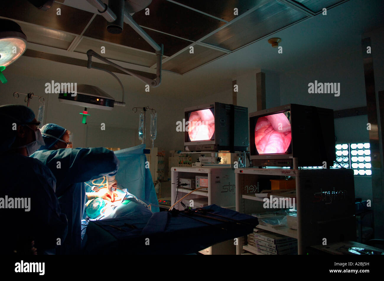 Laparoscopic procedure hi-res stock photography and images - Alamy