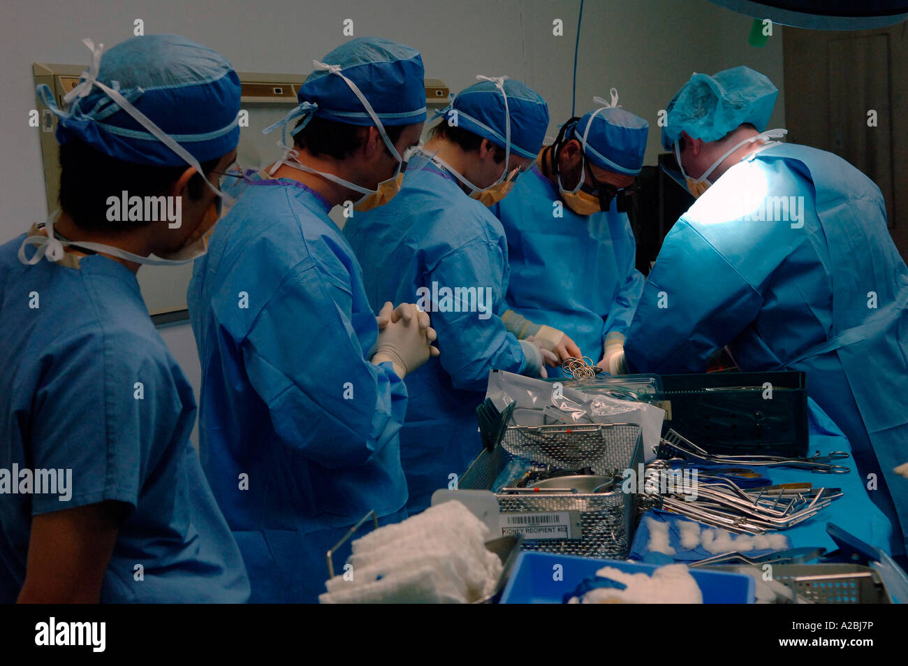 Surgeons and support staff in operating theater during a kidney ...