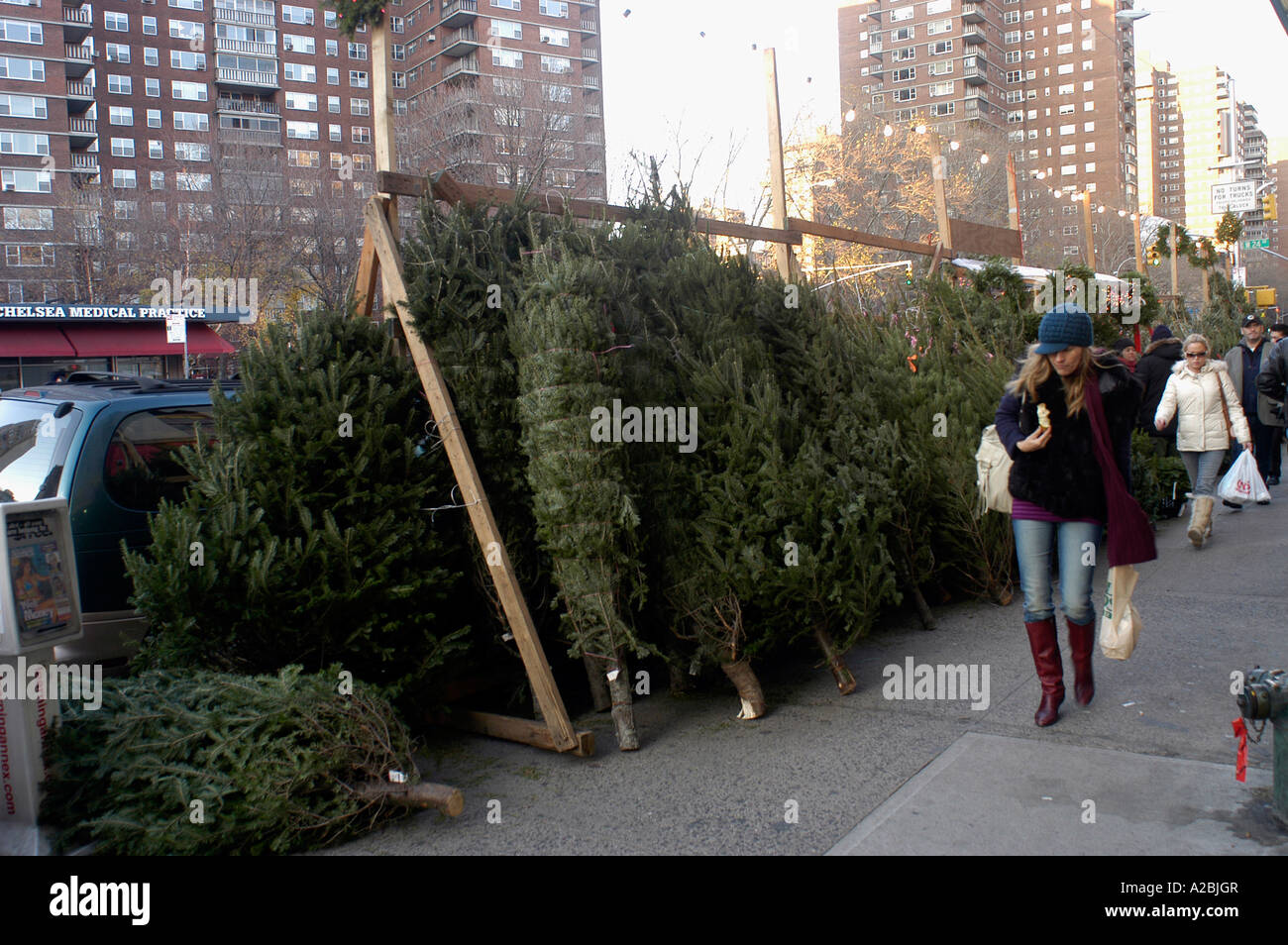 Christmas trees for sale in the NYC neighborhood of Chelsea prior to ...