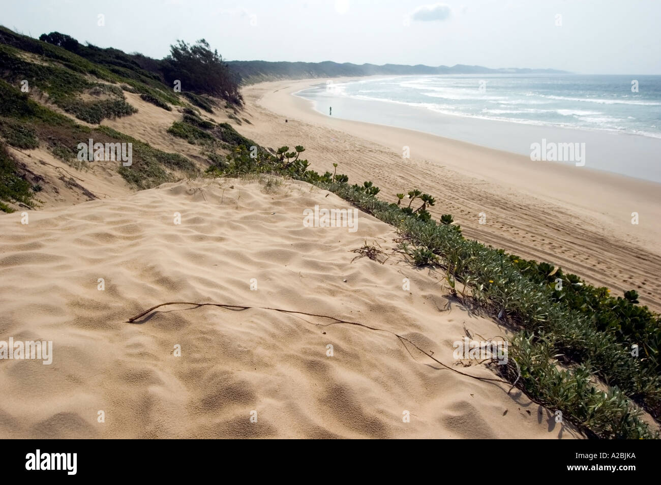 Sodwana Bay Nature Reserve within the Greater St Lucia Wetland Park ...