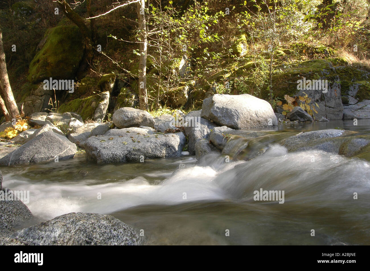 Water rushes by in a stream Stock Photo - Alamy