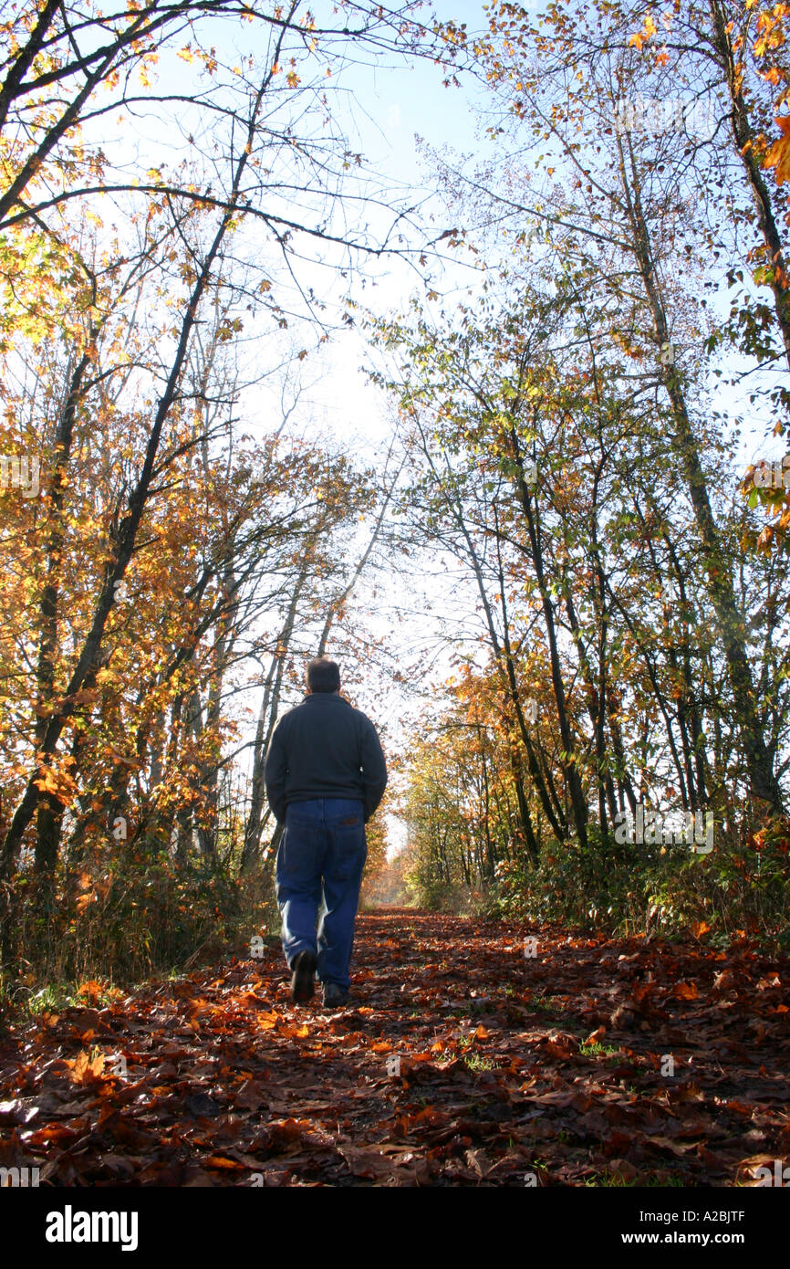Fall walk along the Snoqualmie Valley Trail Stock Photo - Alamy