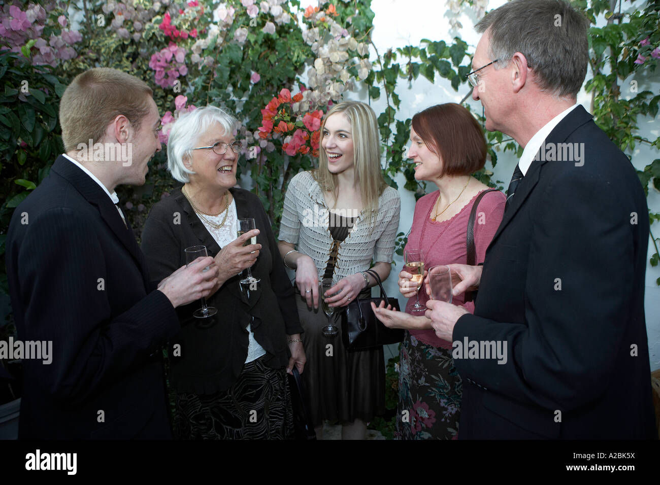 Guests talking at a wedding reception England UK Stock Photo - Alamy