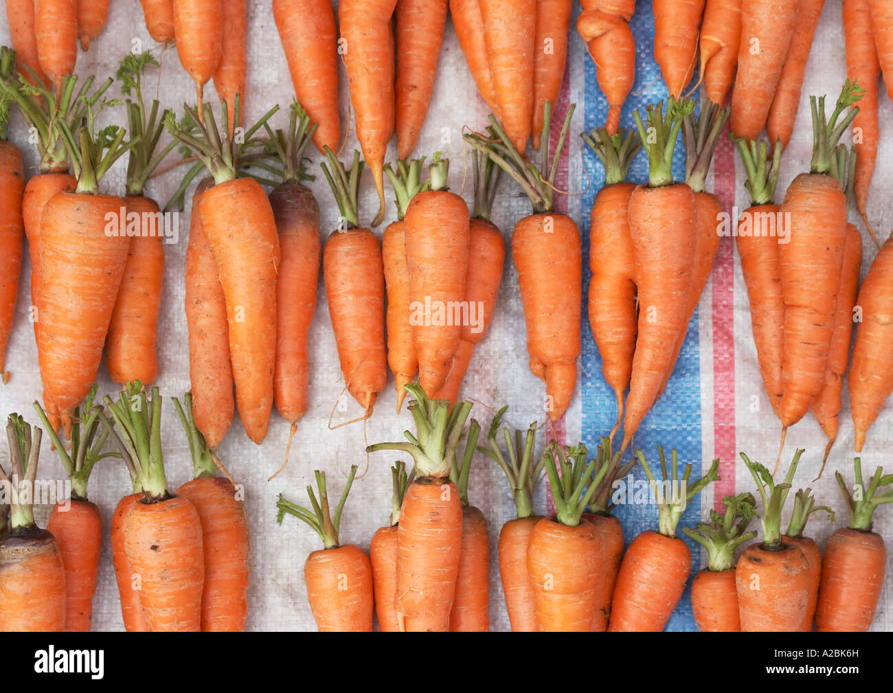 Carrots At Market Stall Stock Photo - Alamy
