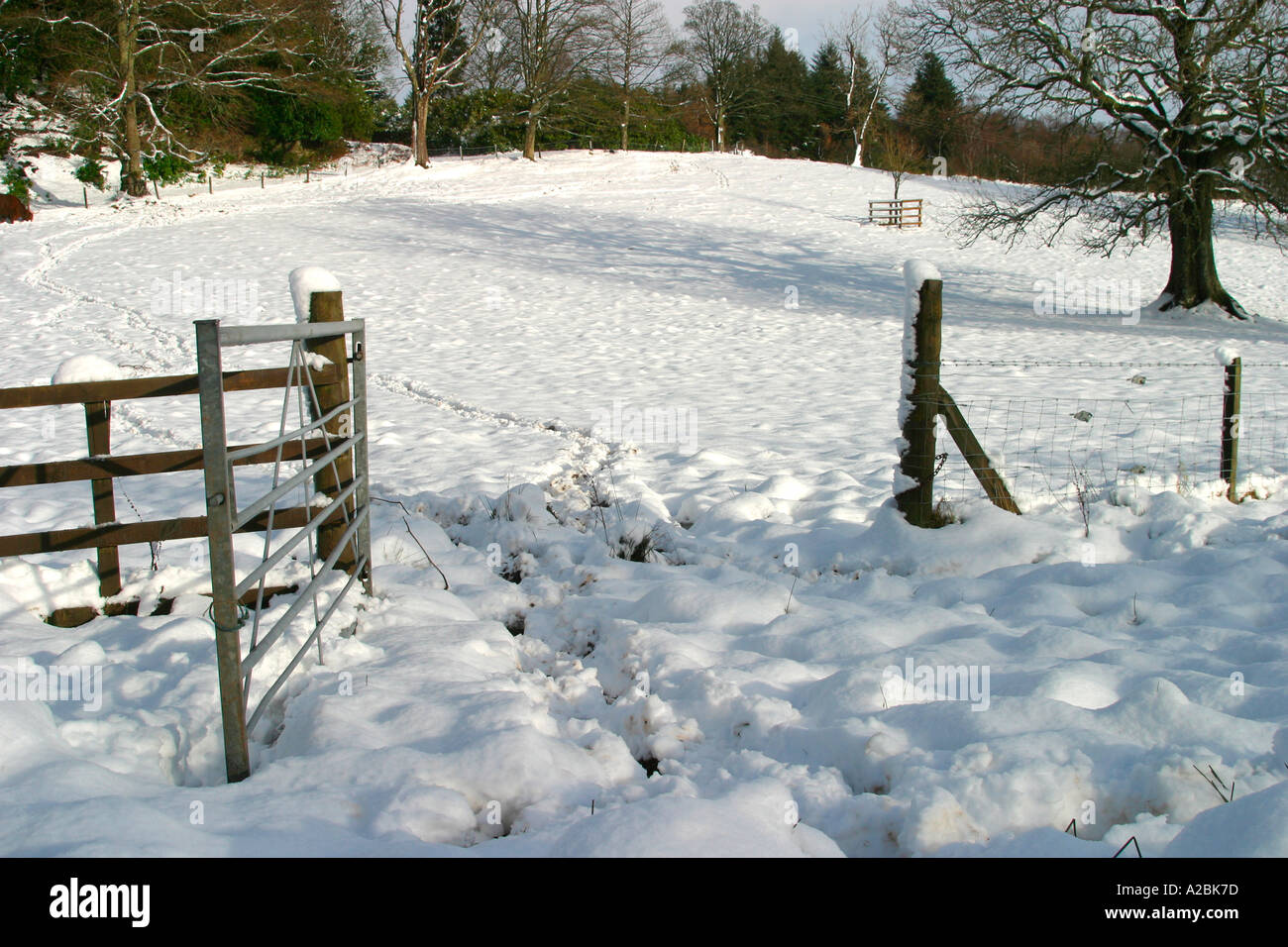 Snow scene in country park with open gate and fence Stock Photo - Alamy
