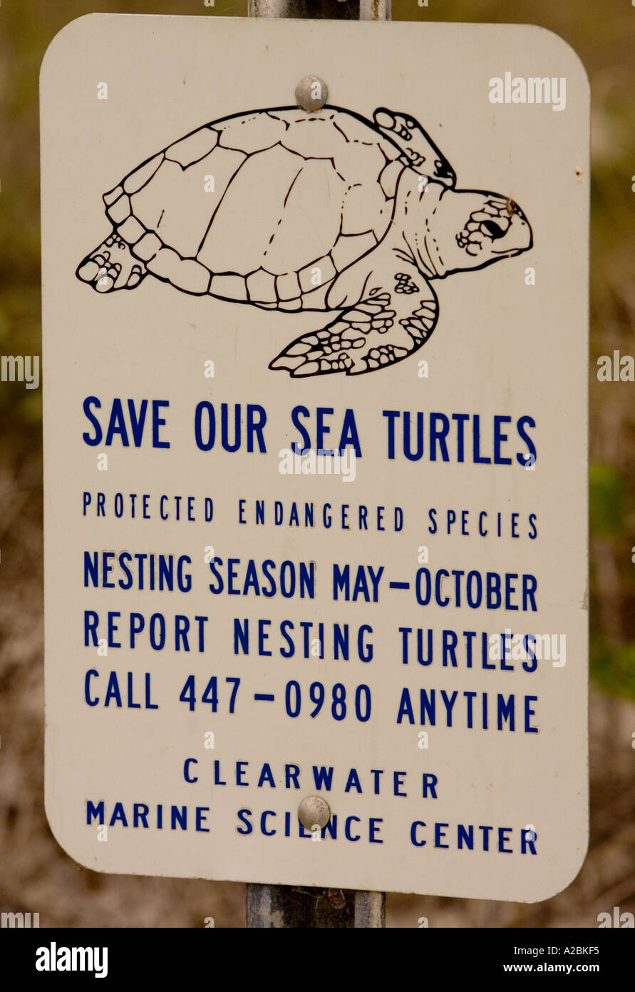 Clearwater beach sign clearwater beach hi-res stock photography and ...