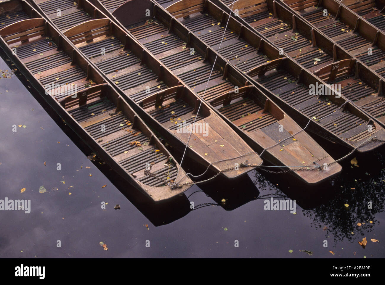 Punts at Magdalen College Bridge Oxford England Stock Photo - Alamy
