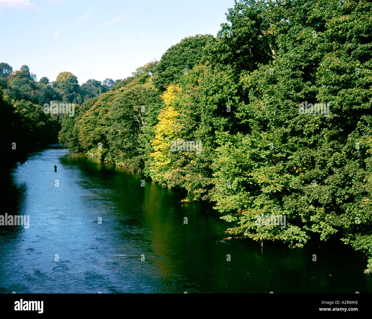 fisherman in river taff radyr cardiff south wales Stock Photo - Alamy