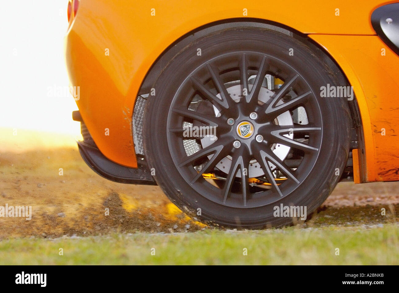 Colour wheel lotus hi-res stock photography and images - Alamy