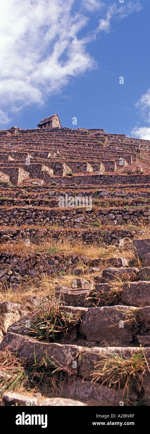 Agricultural terraces peru pre inca hi-res stock photography and images ...