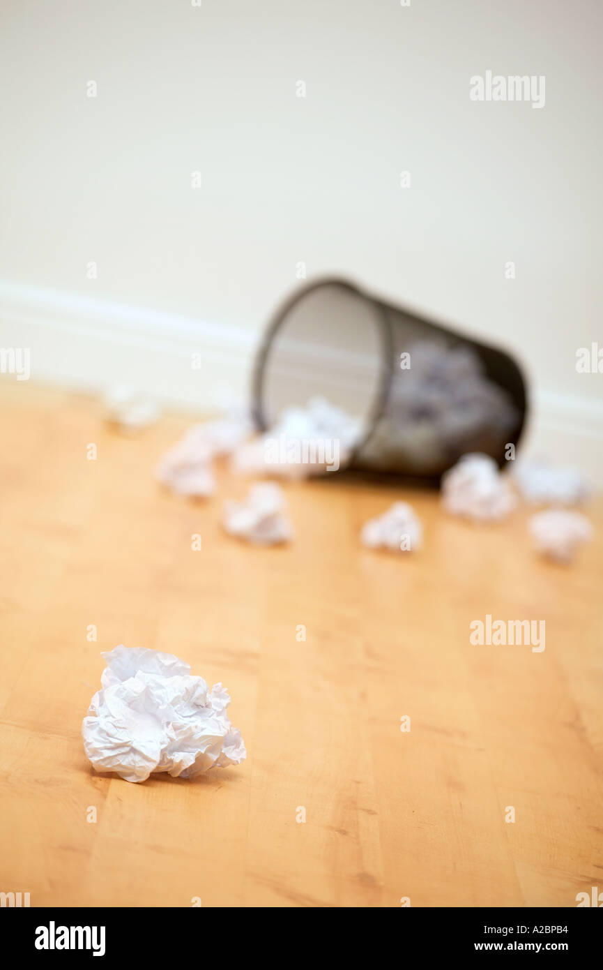 How To Get Litter Off Wood Floor at Steven Trinkle blog