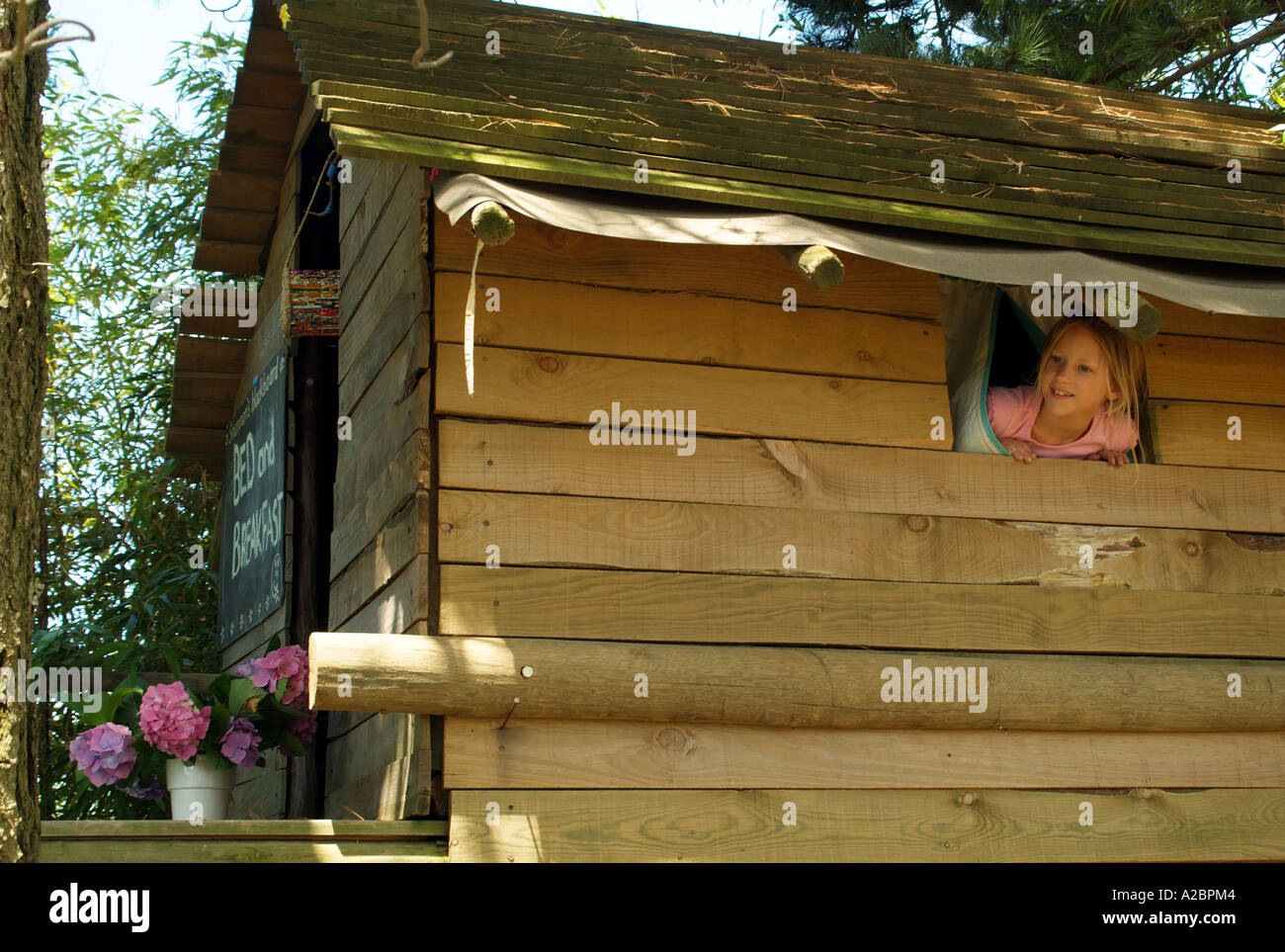 tree house with child looking from window South Africa RSA Stock Photo ...