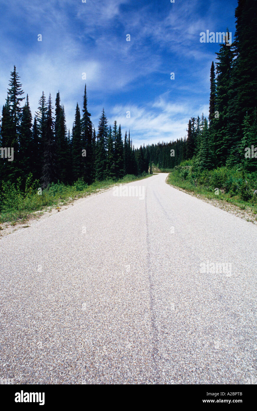 Canada, British Columbia, BC, Curved asphalt road and evergreen trees ...