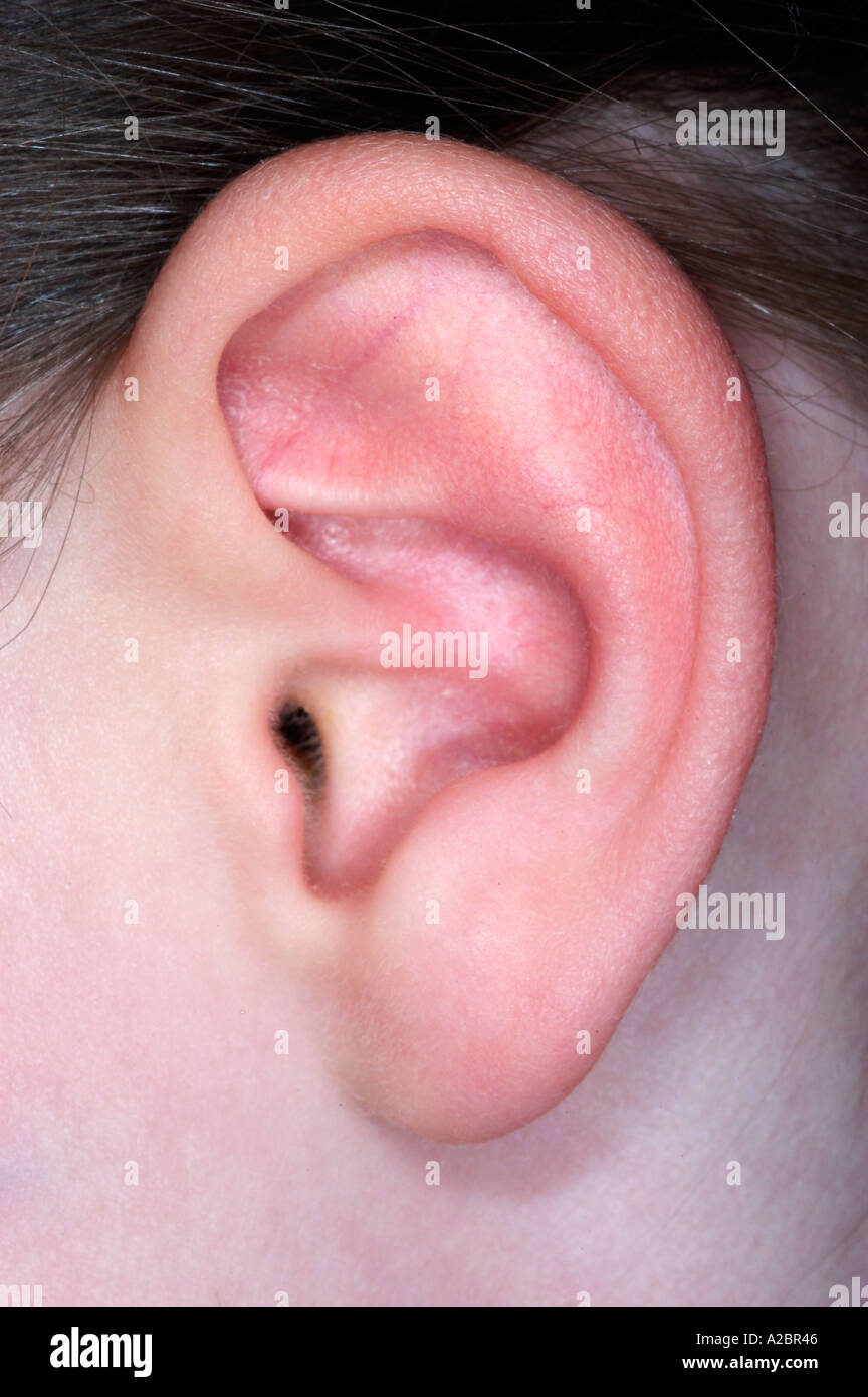 Ear child anatomy hi-res stock photography and images - Alamy