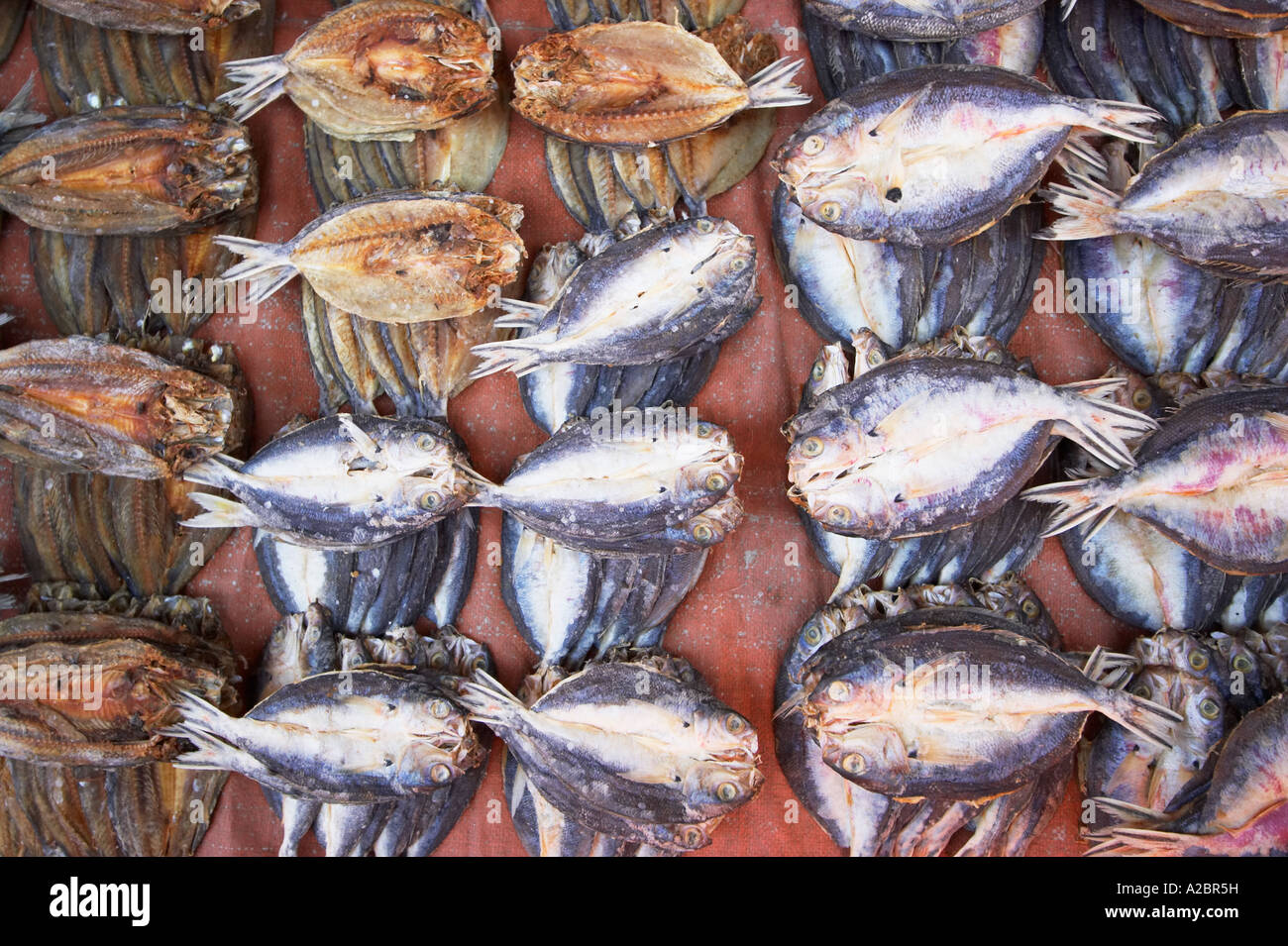 Dried Fish For Sale At Market Stock Photo - Alamy
