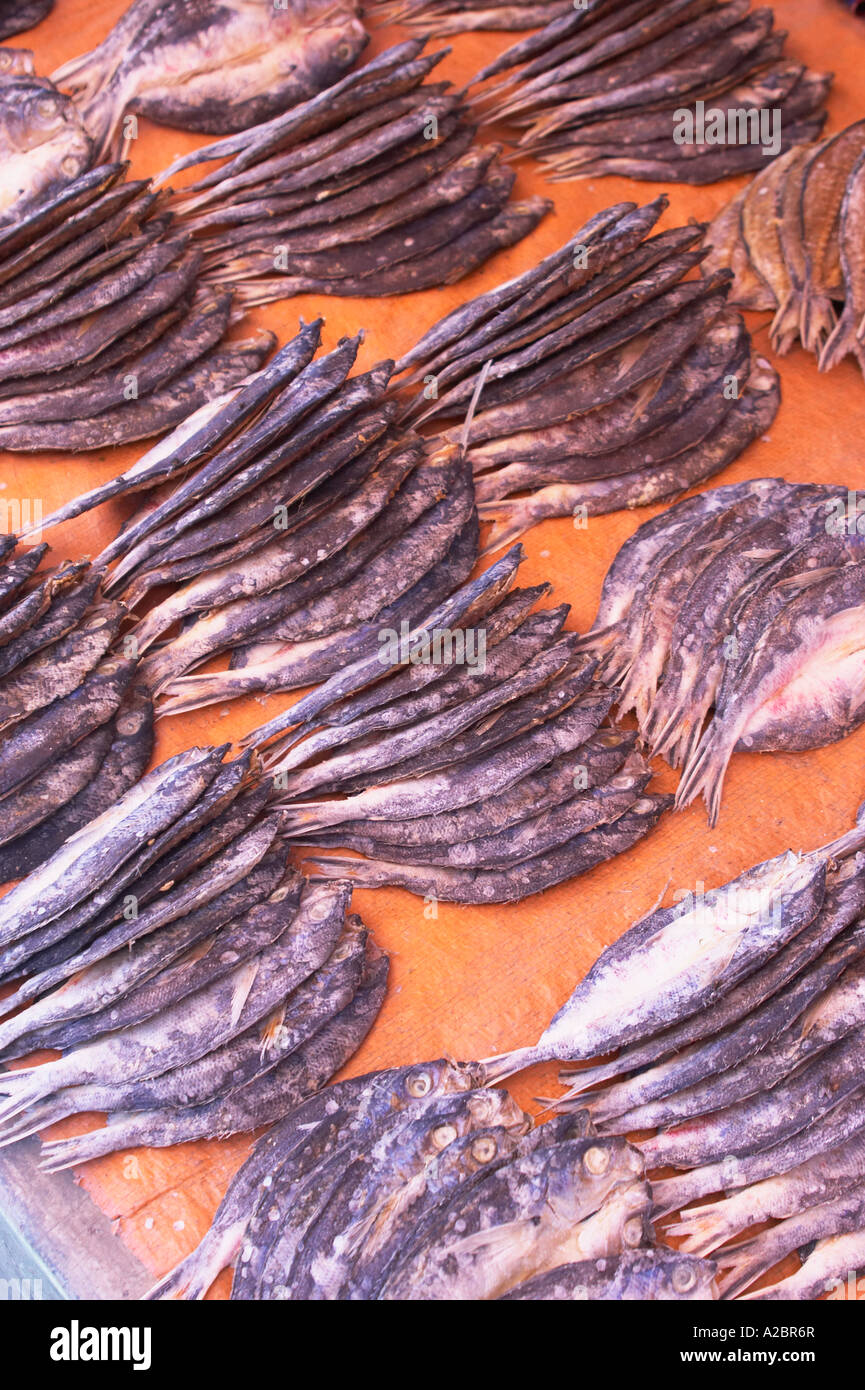 Fish laid out for drying hi-res stock photography and images - Alamy