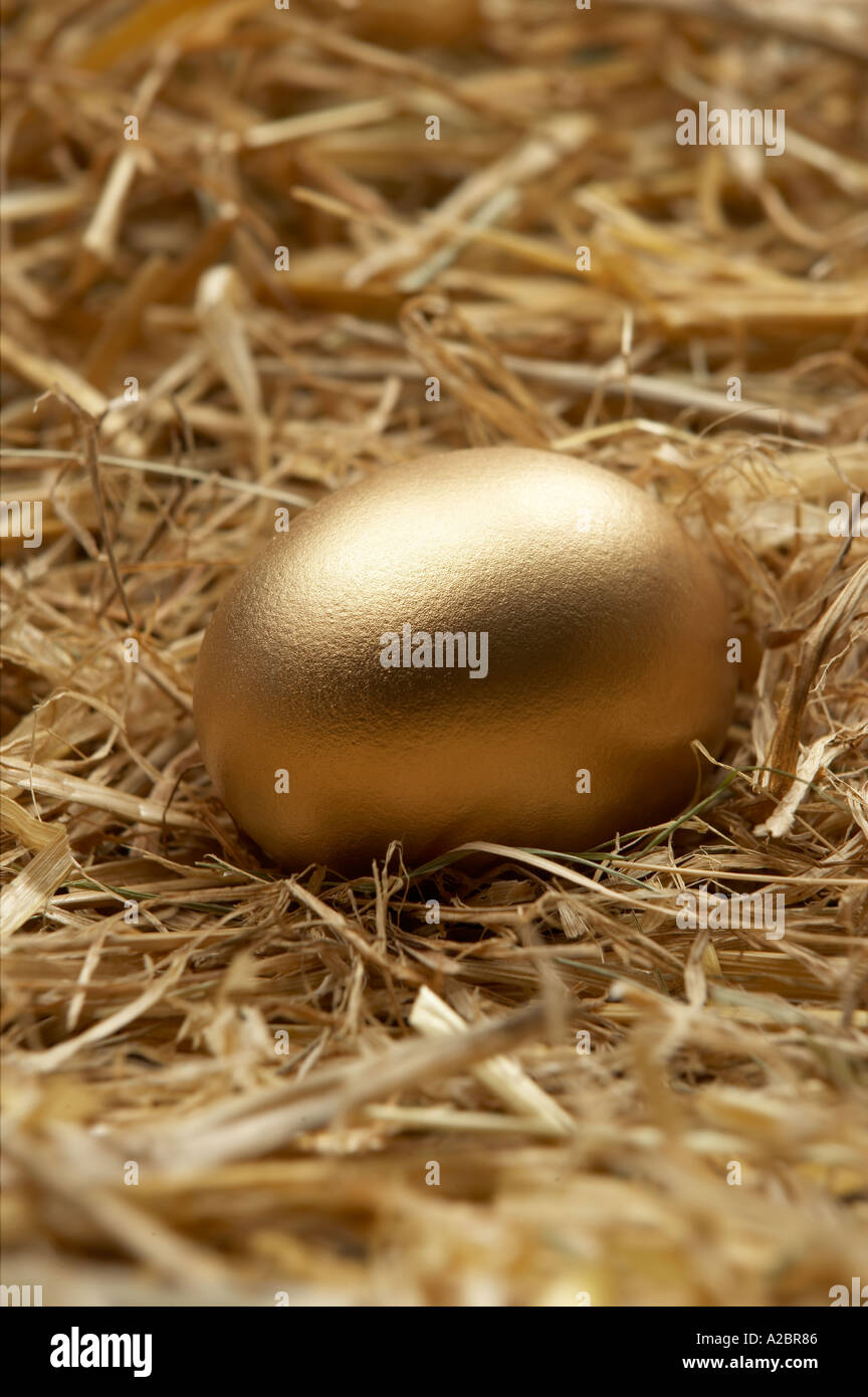 SINGLE GOLD EGG IN NEST OF STRAW Stock Photo - Alamy