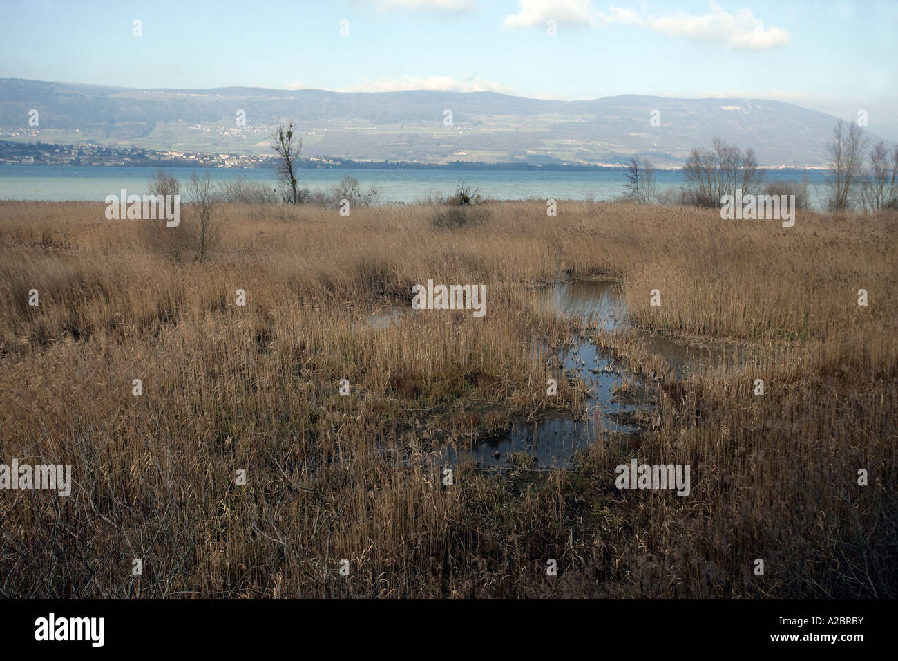 Pillet hi-res stock photography and images - Alamy