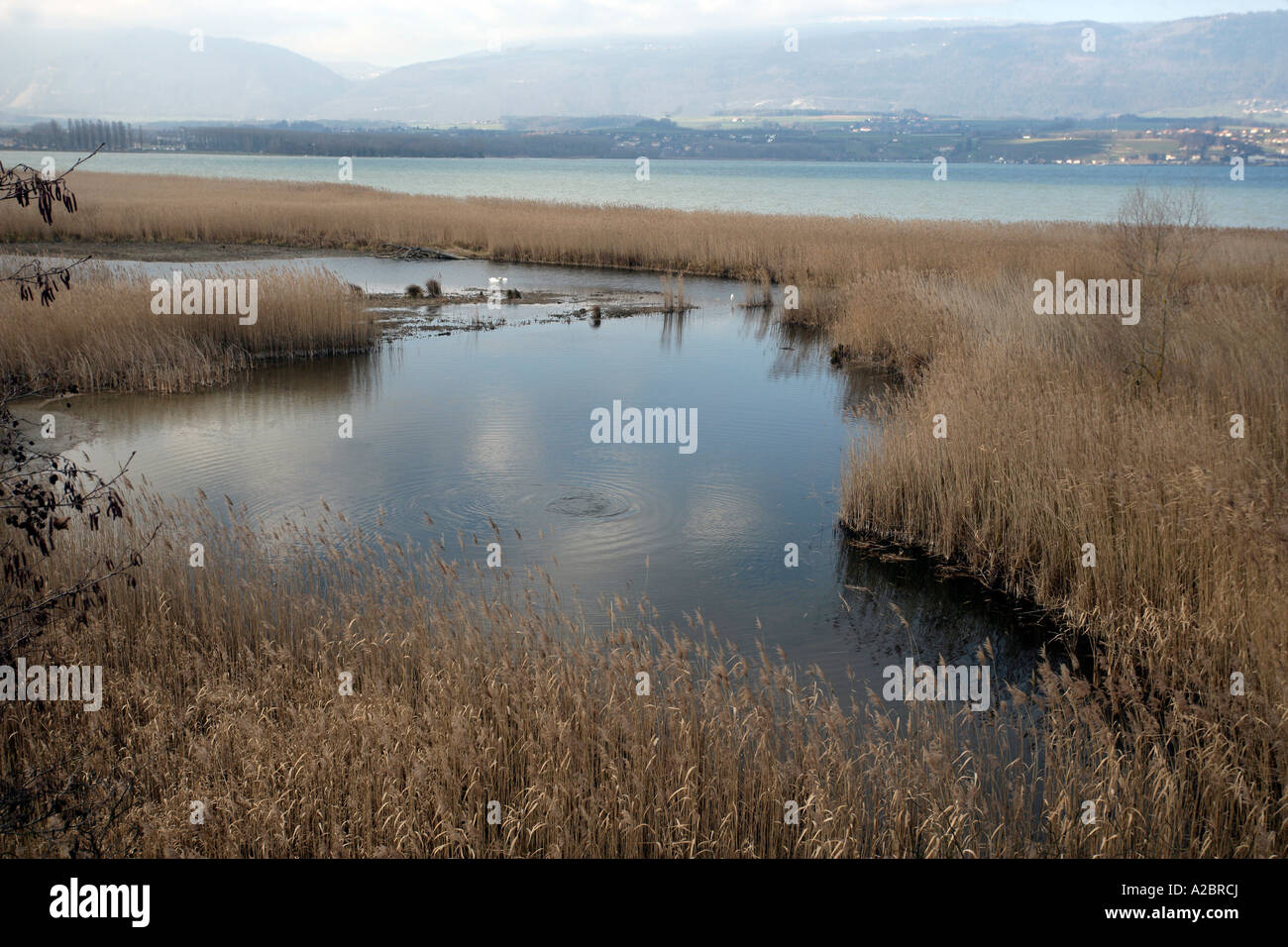 Pillet hi-res stock photography and images - Alamy