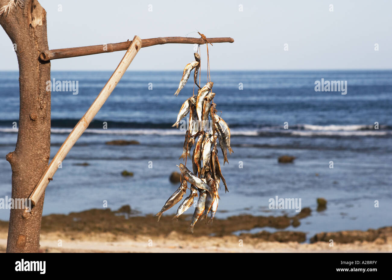 Meat hanging to dry outside hi-res stock photography and images - Alamy