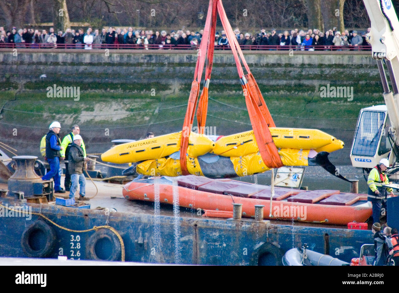 Whale rescue thames hi-res stock photography and images - Alamy