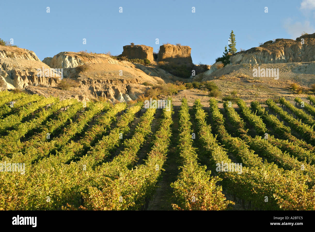Mt difficulty wines new zealand hi-res stock photography and images - Alamy