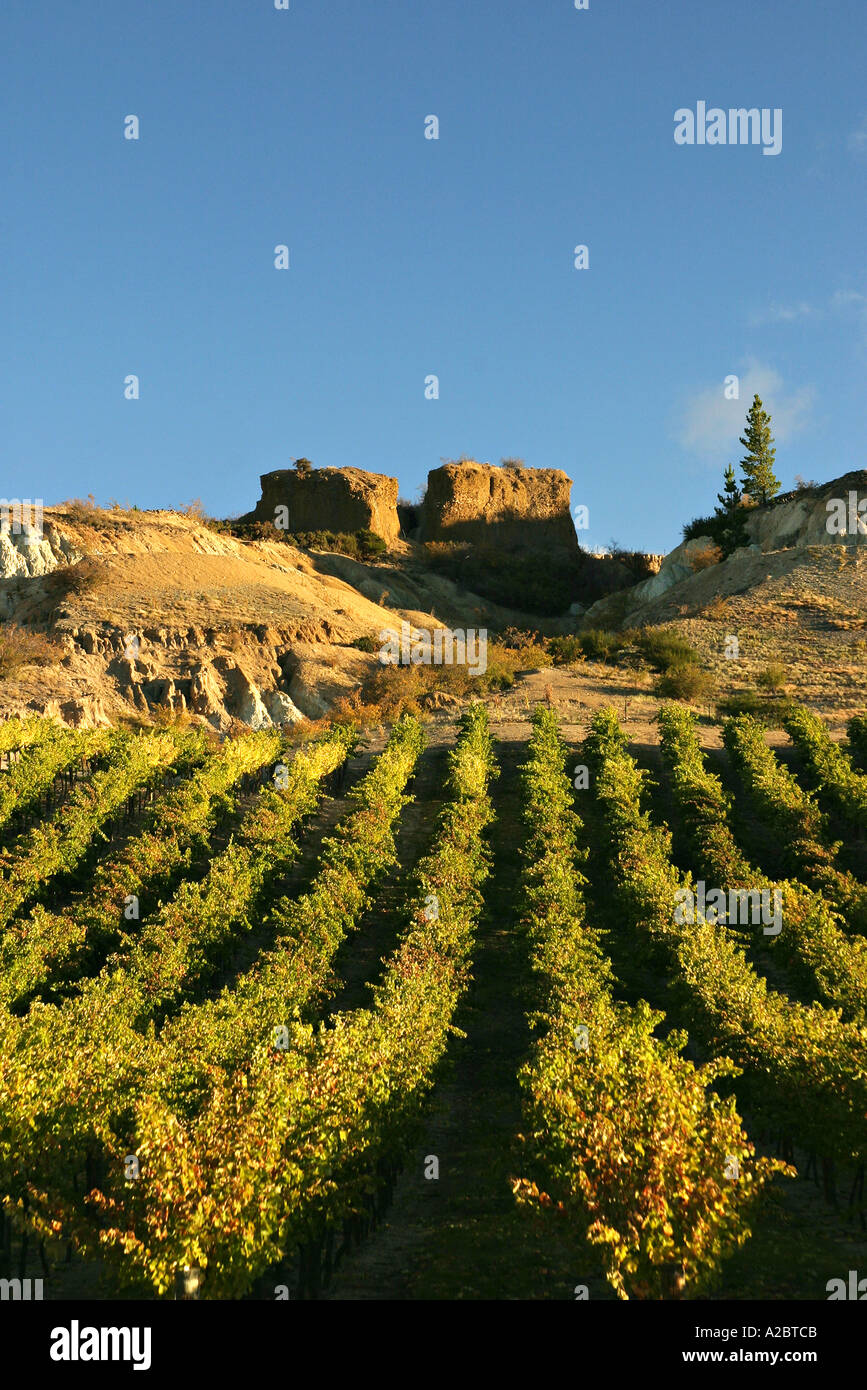 Mt Difficulty Vineyard and historic sluicings Bannockburn Central Otago ...