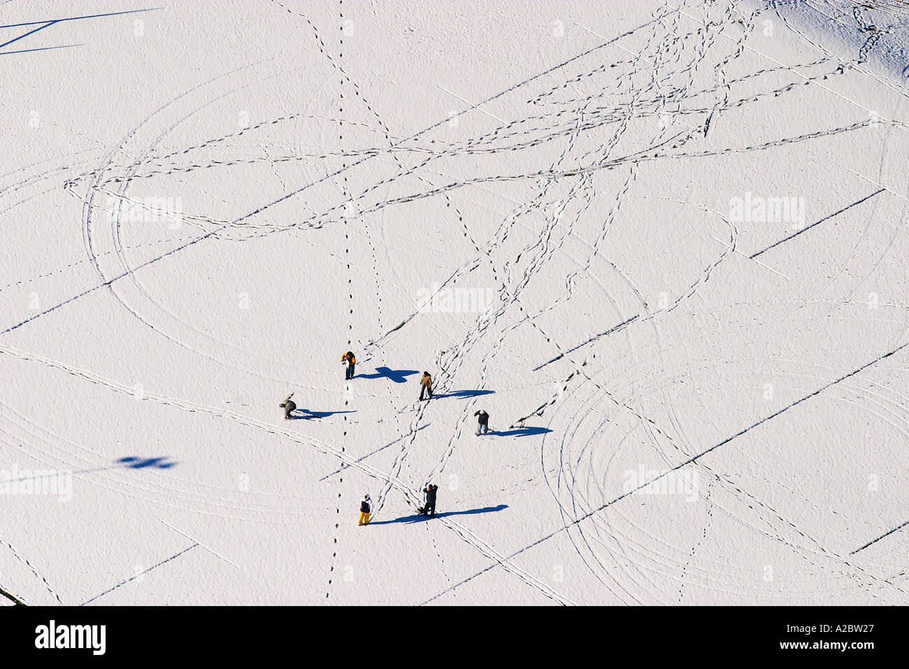 Dunedin snow south island new hi-res stock photography and images - Alamy
