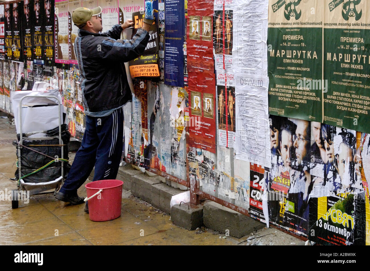 Man sticking up posters on wall Sofia Bulgaria East Europe Stock Photo ...