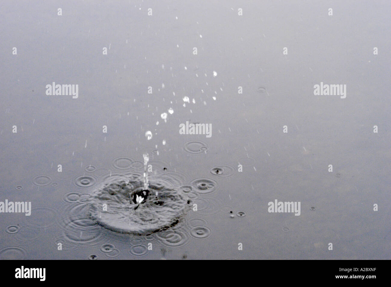 Pebble water ripples hi-res stock photography and images - Alamy