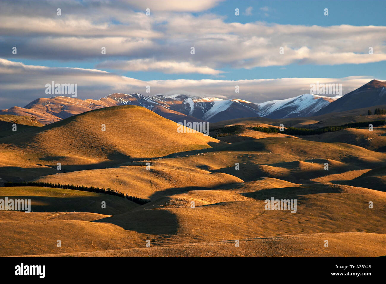 North Otago Landscape near Duntroon South Island New Zealand Stock ...