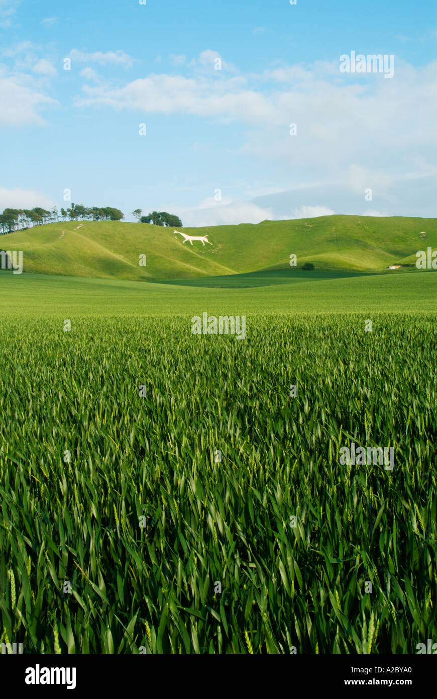 Dr Christopher Alsop High Resolution Stock Photography and Images - Alamy