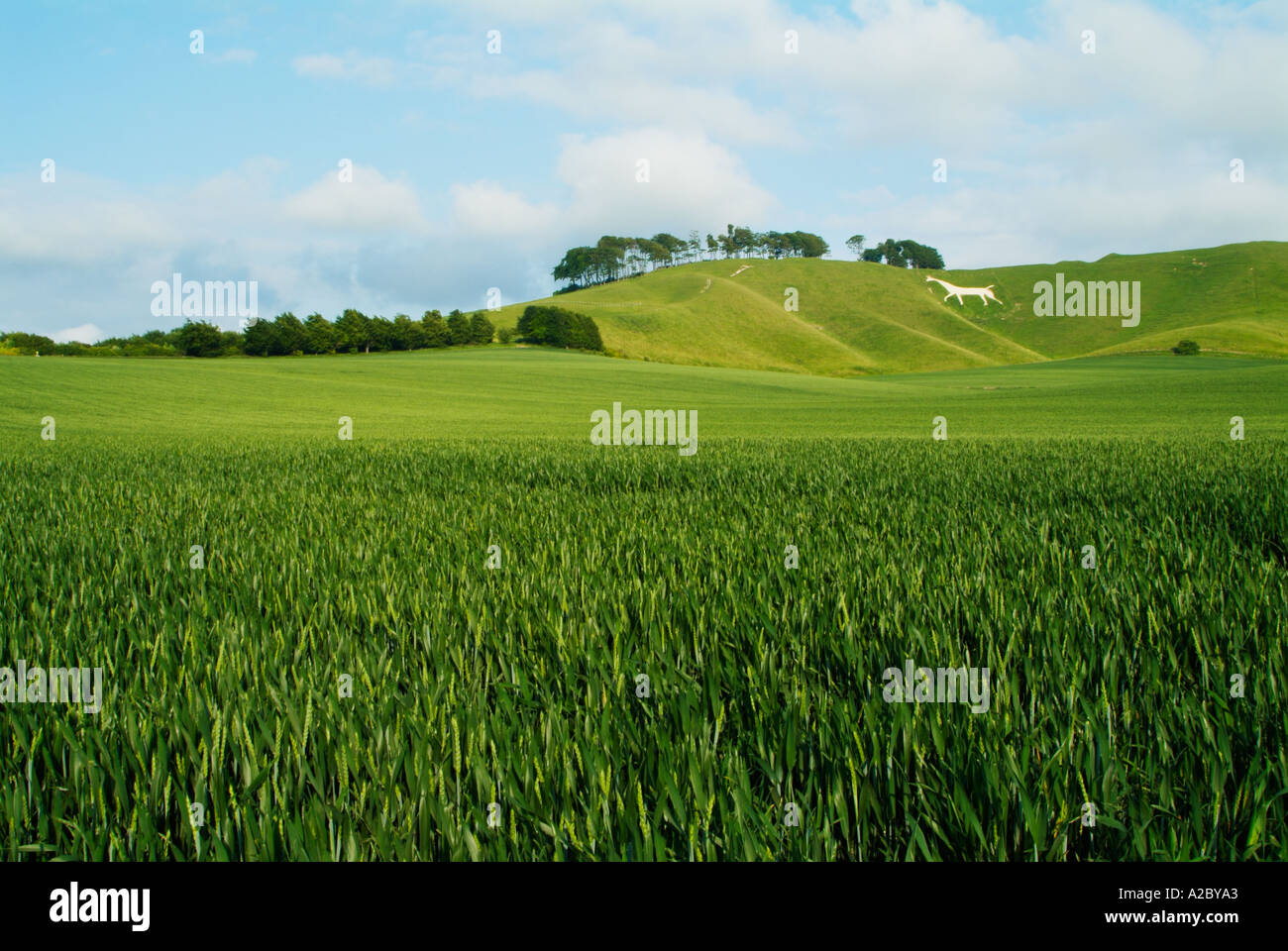 Dr christopher alsop hi-res stock photography and images - Alamy