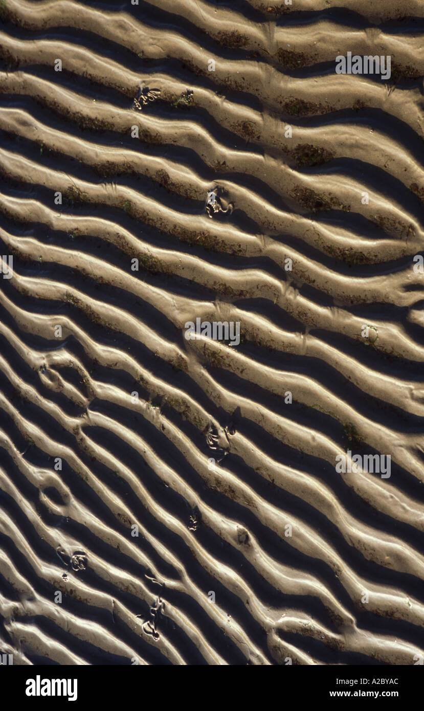 wave patterns in sand on seashore Stock Photo - Alamy