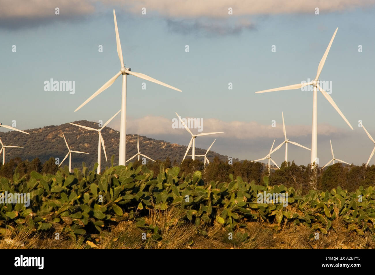 A Landscape of Windmills Stock Photo - Alamy